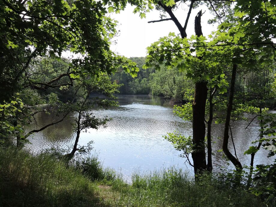 Veddige strandpromenad. - Västkusten, Sverige - Kattax - Reseguiden