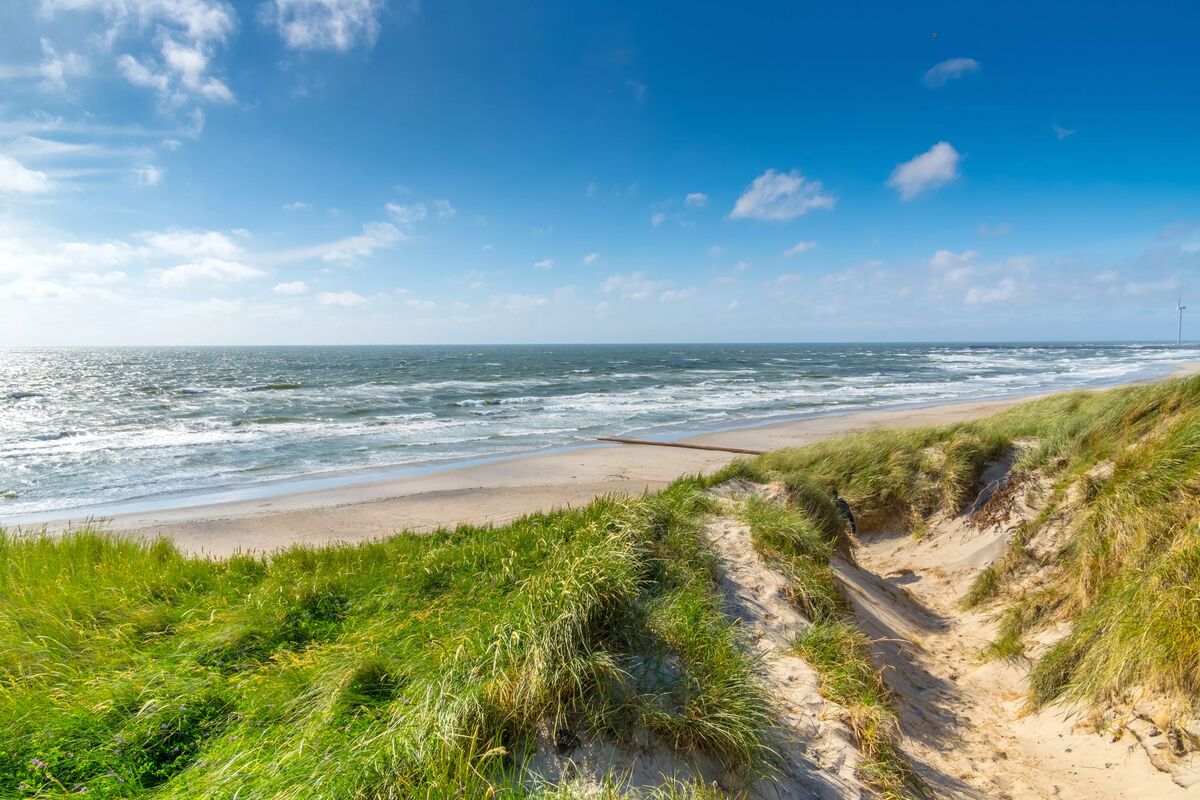 Välj Danmark i sommar - Reseguiden