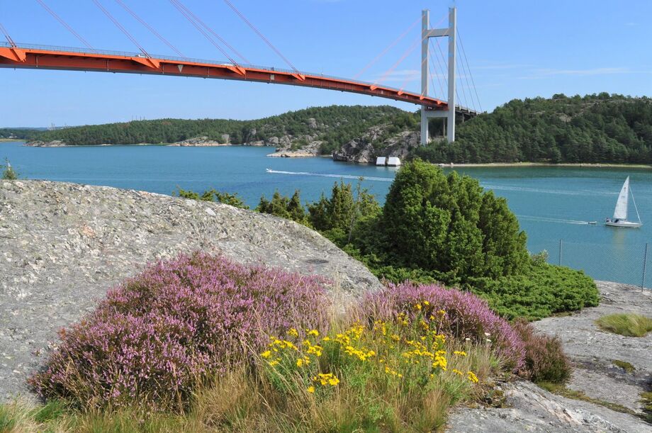 Tjörnbron - Rastplats Tjörnbron, Myggenäs, Sverige - Eje_b - Reseguiden