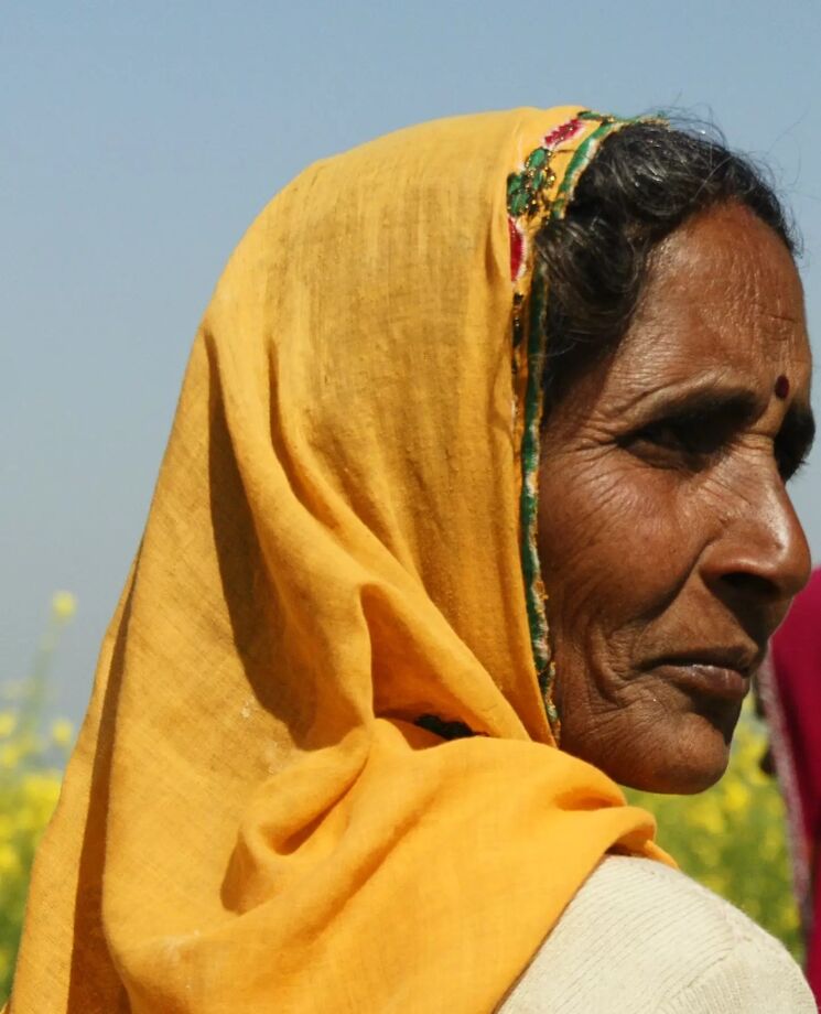 Indisk kvinna 2 - Indien - Rommetorp - Reseguiden