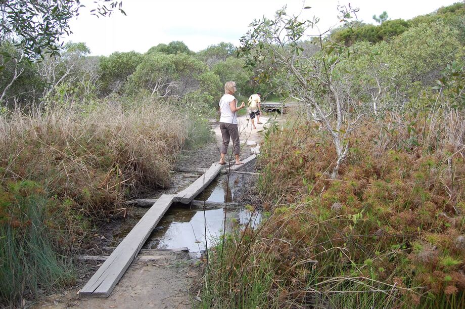 Sumpmark - Australien - Bodidgeridoo - Reseguiden