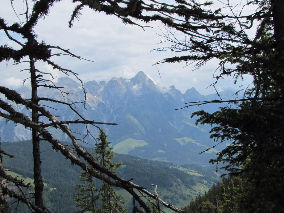 Alper med risig inramning - Saalbach, Österrike - Anderslindb - Reseguiden