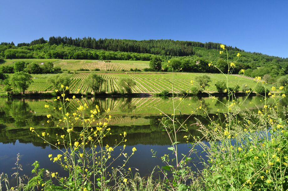 Moseldalen - Tyskland - Malin2006 - Reseguiden