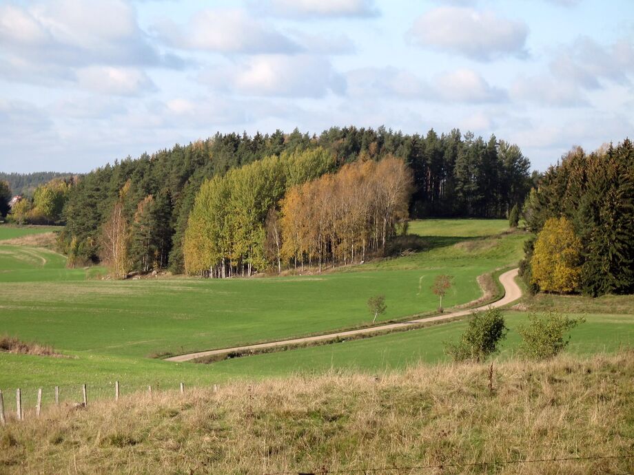 Utsikt en höstdag vid Uppsa kulle - Nyköping, Södermanland, Sverige ...