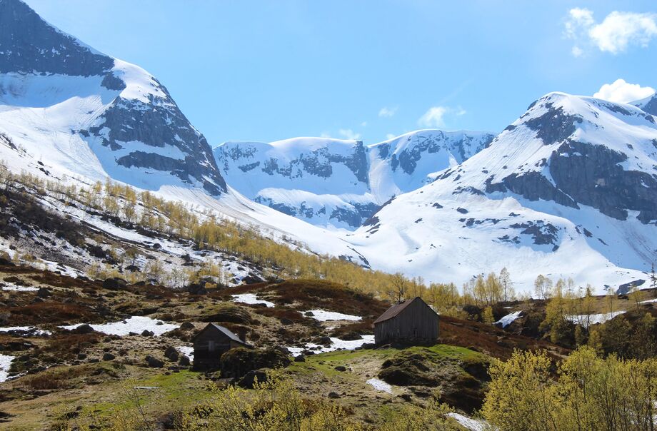 Bild #492908 från Norge - Moniq - Reseguiden