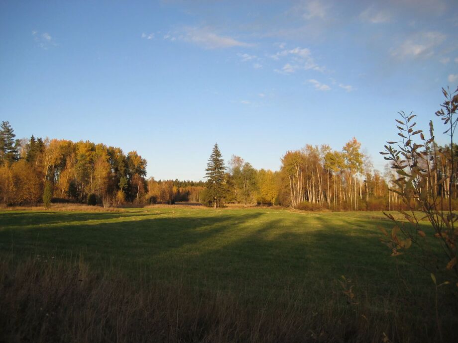 Skogstorp - Sverige - Camyn - Reseguiden