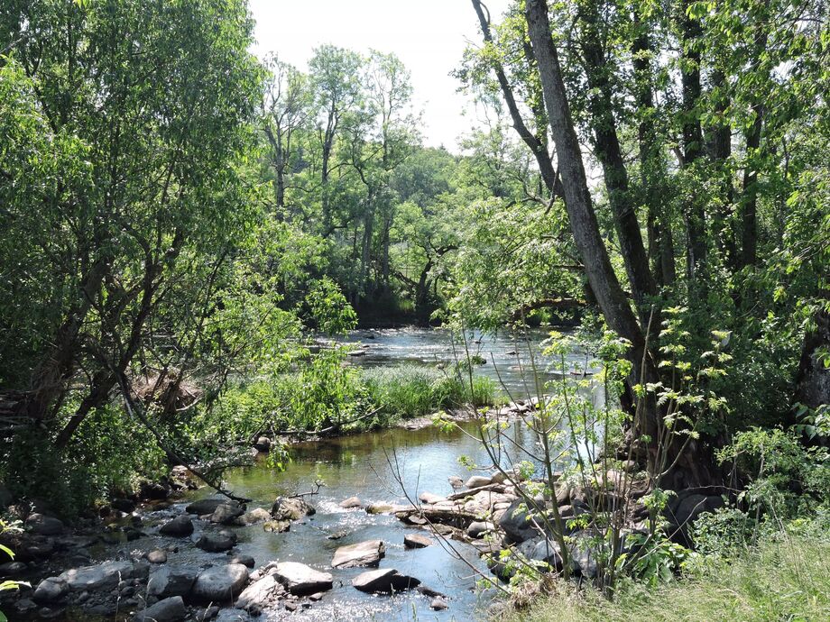 Veddige strandpromenad. - Västkusten, Sverige - Kattax - Reseguiden