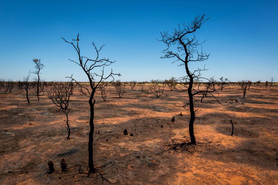 Hardcore Outback Nanutarra Road Nanutarra Western Australia
