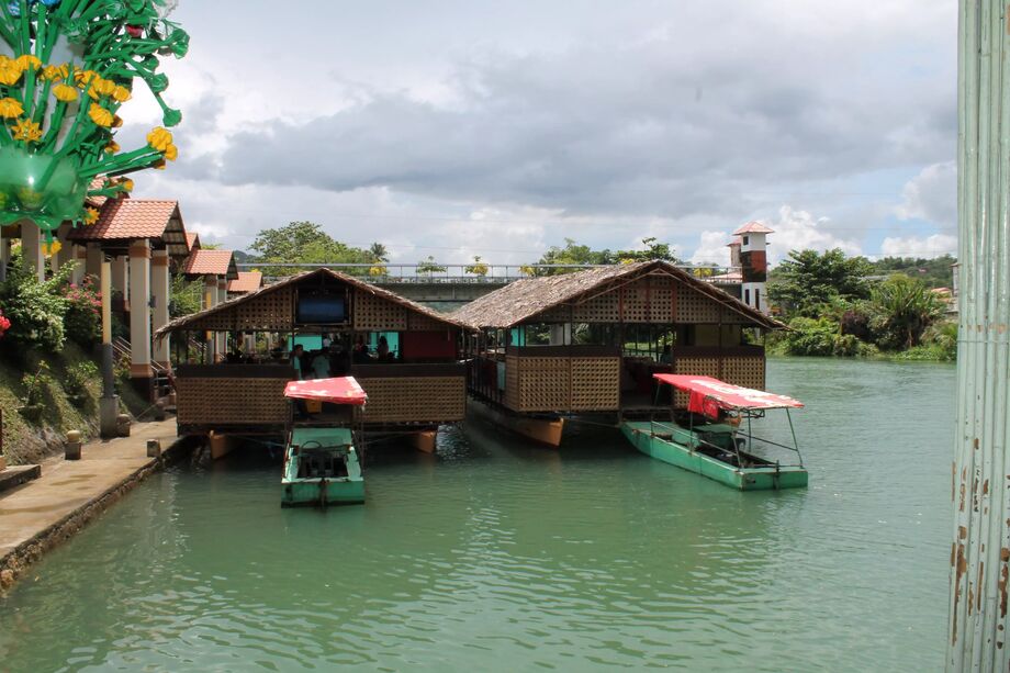 Bild #459340 från Cebu City, Filippinerna - Grisslan - Reseguiden