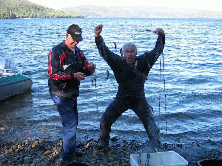 Ful fisk - Sverige - Jordenrunt - Reseguiden