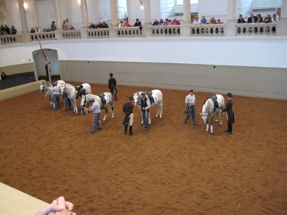 Spanska ridskolan - Wien, Österrike - Peroerik - Reseguiden