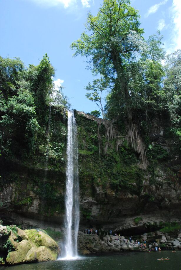 Misol-há - Mexiko - Zorrito - Reseguiden