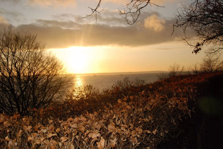 solnedgång över sundet - Helsingborg, Skåne, Sverige - Mpc - Reseguiden