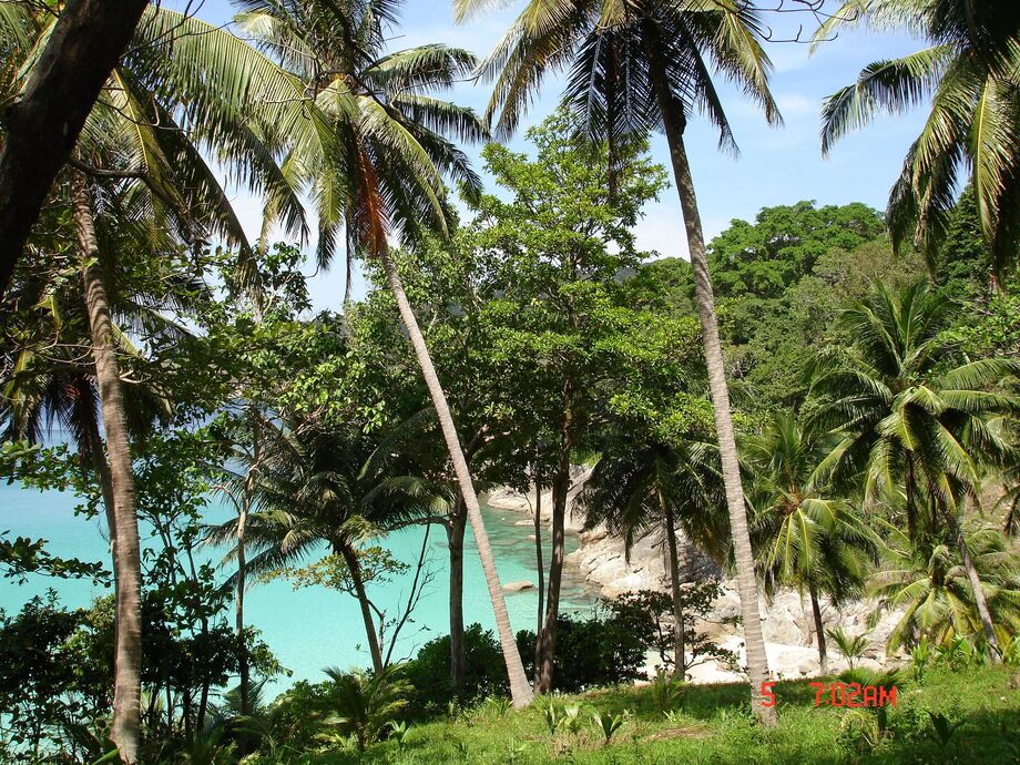 Bild #112969 från Thailand - Sandrox - Reseguiden