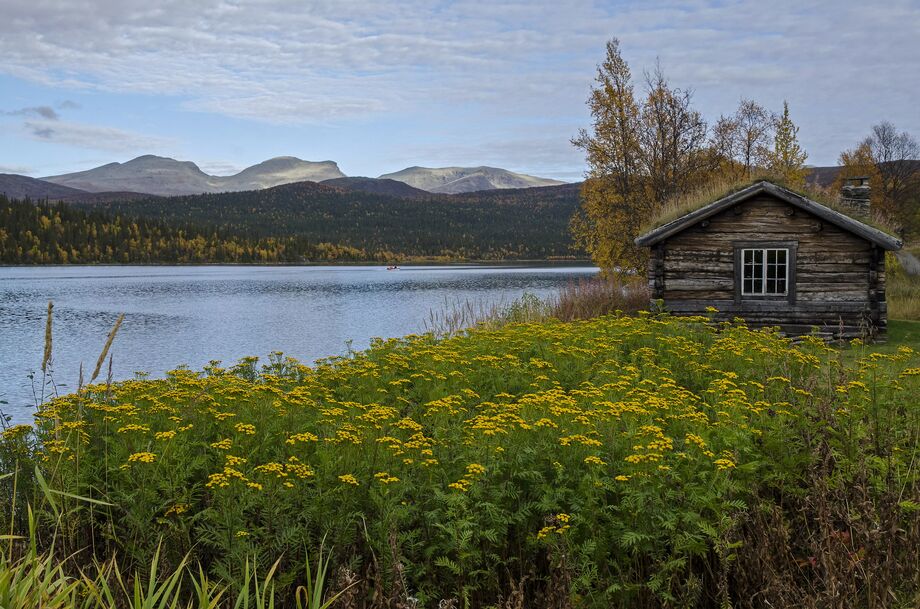 Gammal stuga vid Kultsjön i Fatmomakke - Sverige - Karinlorvik - Reseguiden