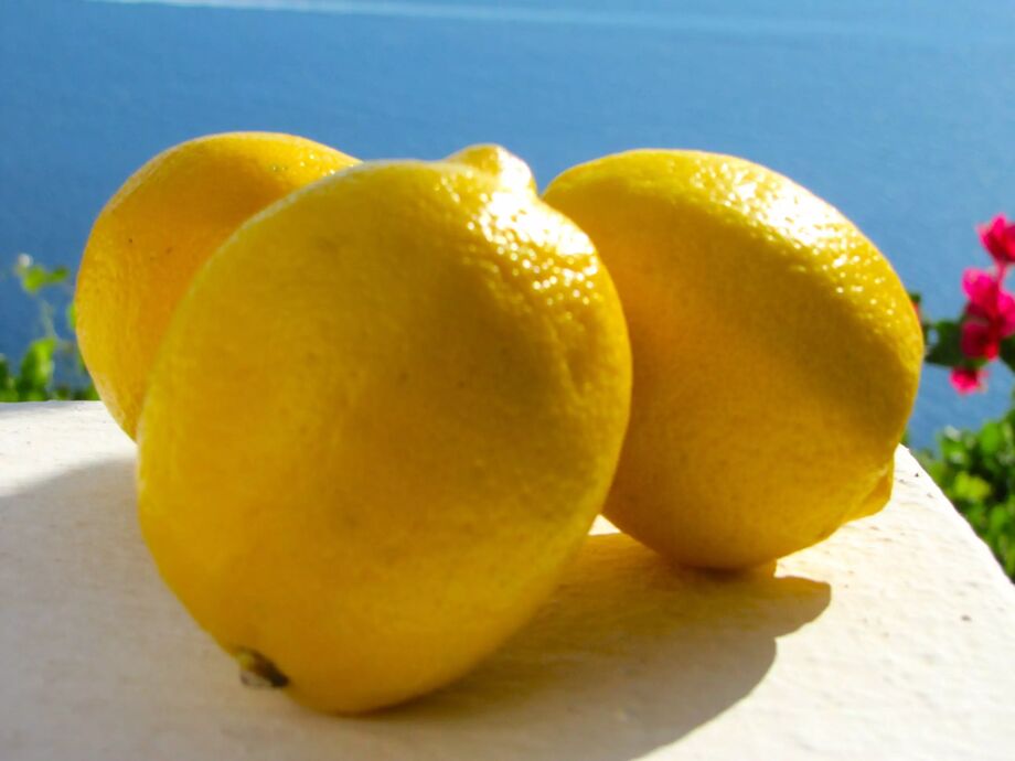 Citroner - Santorini, Grekland - Grekland - Reseguiden