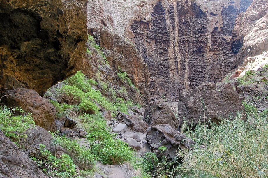 Ravinen - Teneriffa, Kanarieöarna, Spanien - Karinlorvik - Reseguiden