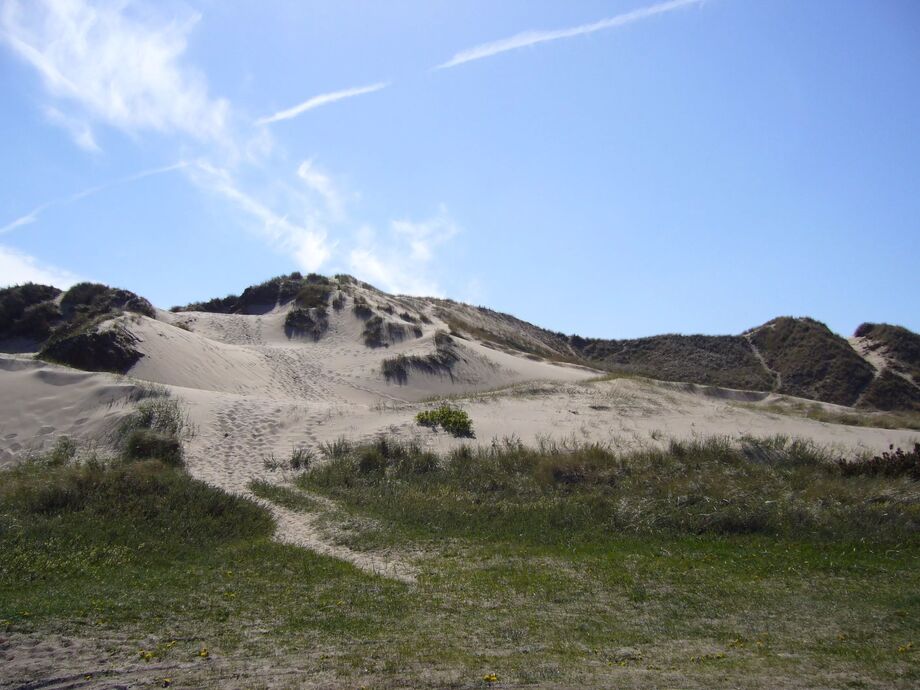 Klitter - Skagen, Nordjylland, Danmark - Chrissie11 - Reseguiden