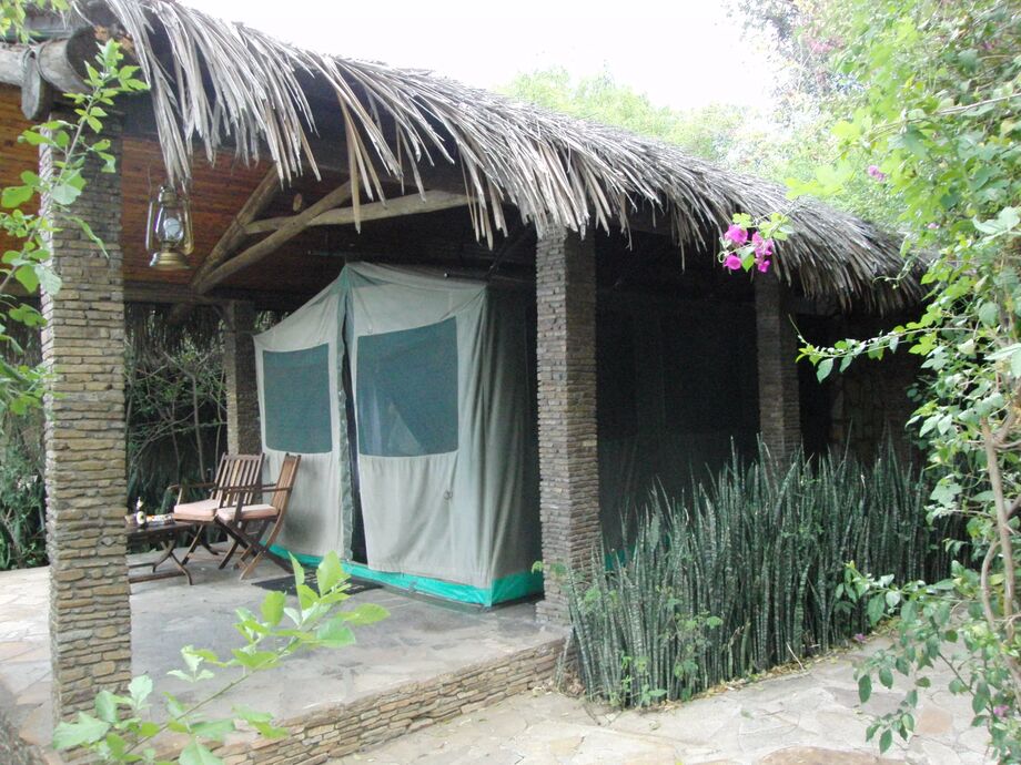 Fig Tree Camp Masai Mara - Kenya - Cuddly - Reseguiden