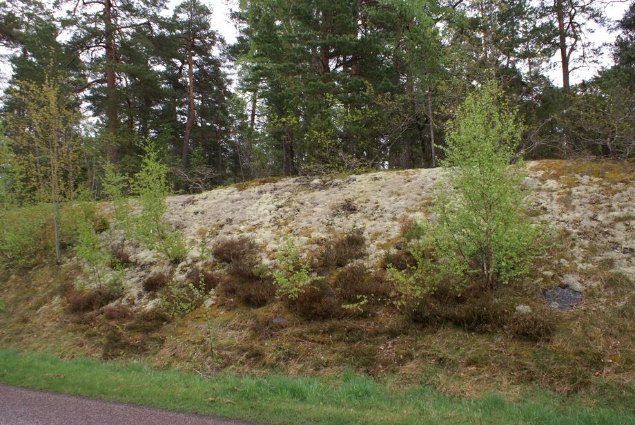 Sluttning med lavar - Påskallavik, Småland, Sverige - Fotobengt ...