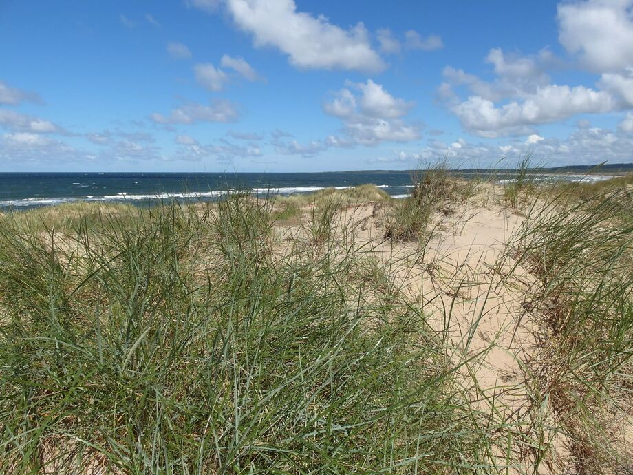 Stranden i Tylösand - Tylösand, Halmstad, Halland, Sverige - Teresen ...