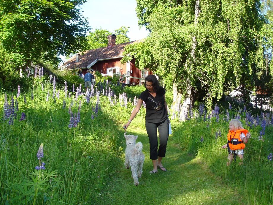 Midsommar - tipspromenad med gänget - Sverige - Tima - Reseguiden
