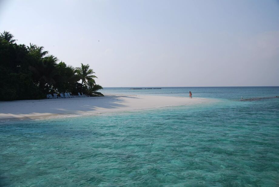 Bild #445197 från Maldiverna - Mittmi - Reseguiden