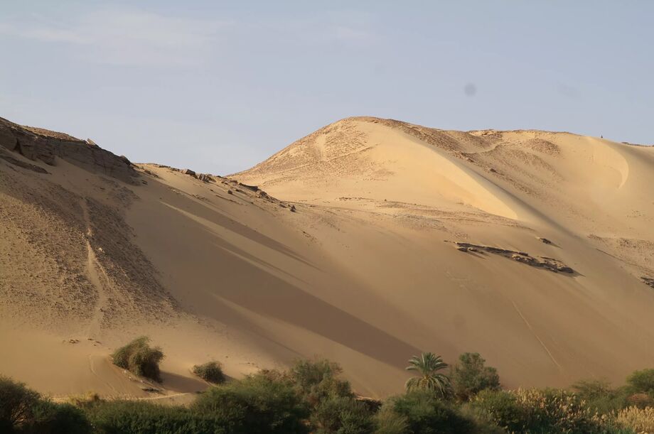 Naturen runt Nilen - Egypten - Rommetorp - Reseguiden