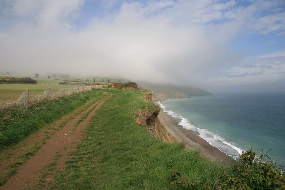 Bild #137416 från Bray, Irland - Yumyum - Reseguiden