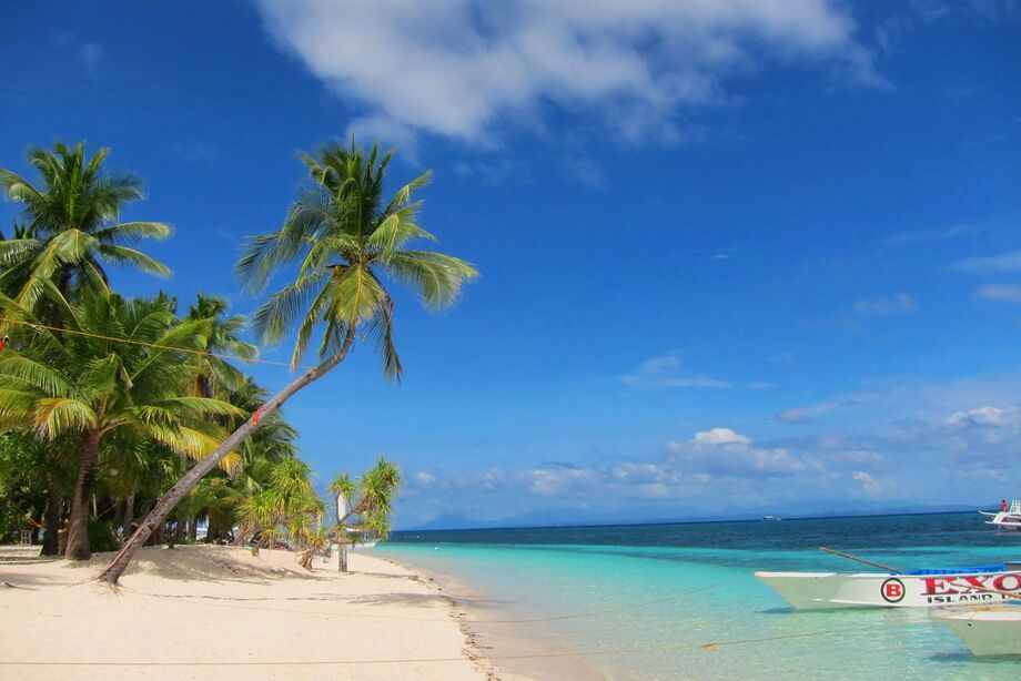 Bounty Beach, Malapascua Exotic Dive Resort - Filippinerna - Tima ...