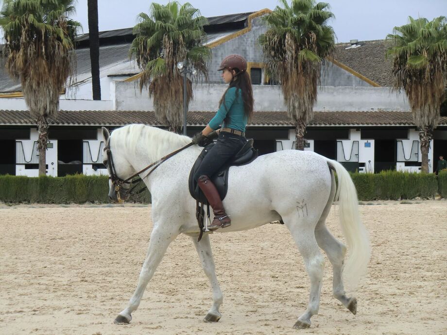 Från Spanska ridskolan - Jerez de la Frontera, Costa de la Luz, Spanien ...