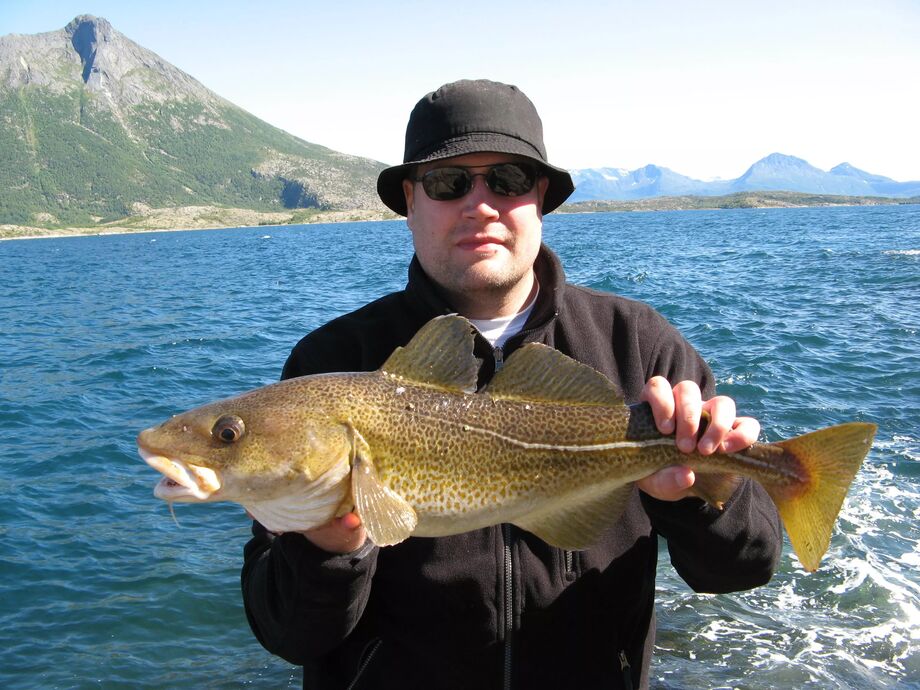 Torsken har torskat - Norge - Busylizzy - Reseguiden