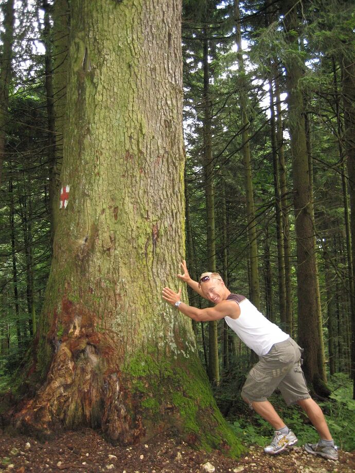 Ordentliga granar - Rumänien - Alex81 - Reseguiden