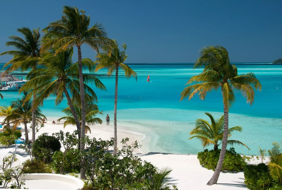 Bild #369011 från Maldiverna - Malin2006 - Reseguiden