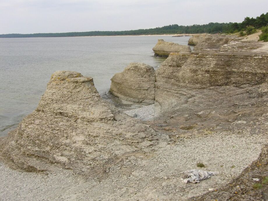 Vacker natur! - Öland, Sverige - Cuddly - Reseguiden