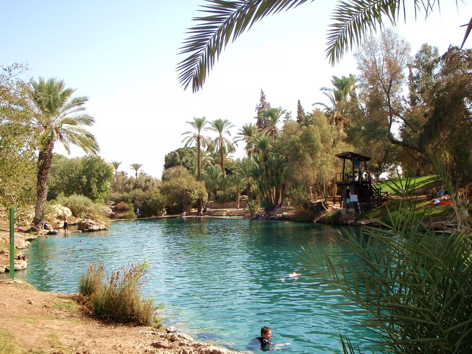 Sahne nationalpark - Israel - Dodi - Reseguiden