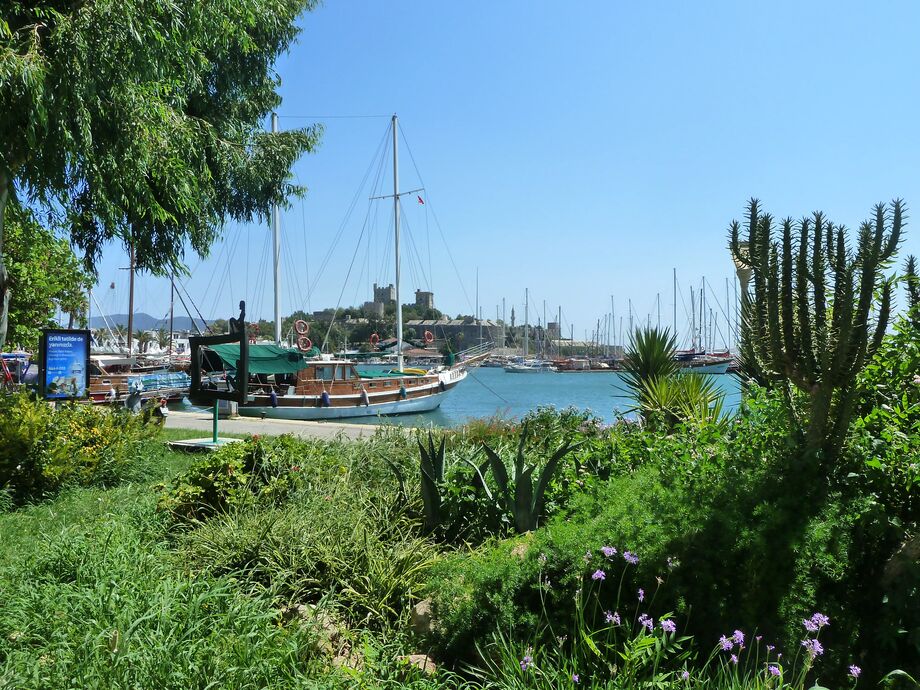 Bild #430348 från Bodrum, Bodrum-halvön, Turkiet - Legusta - Reseguiden