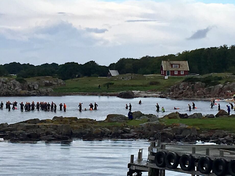 Torekov Open Water - Torekov, Sverige - Marulk - Reseguiden