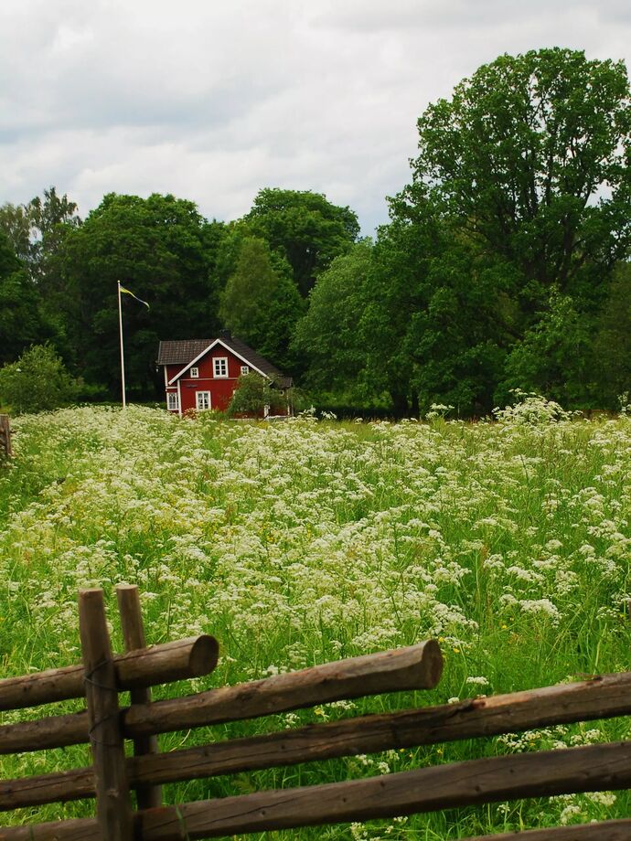 GLAD MIDSOMMAR! - Sverige - Rika44 - Reseguiden