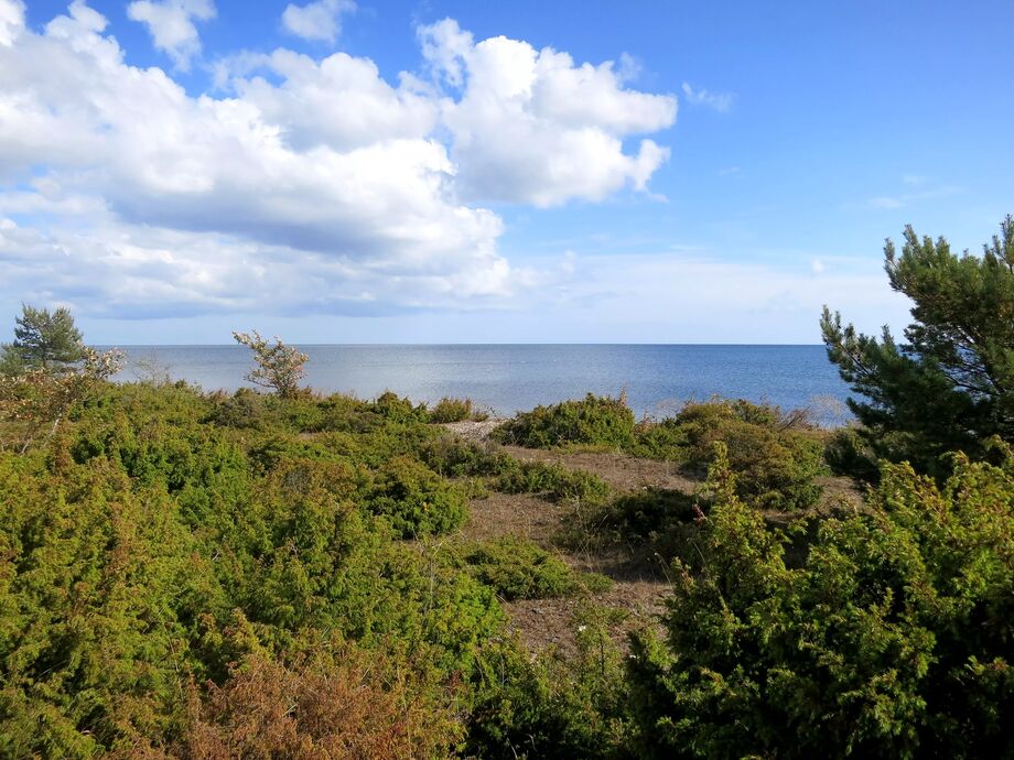 Ösel - Estland - Dodi - Reseguiden