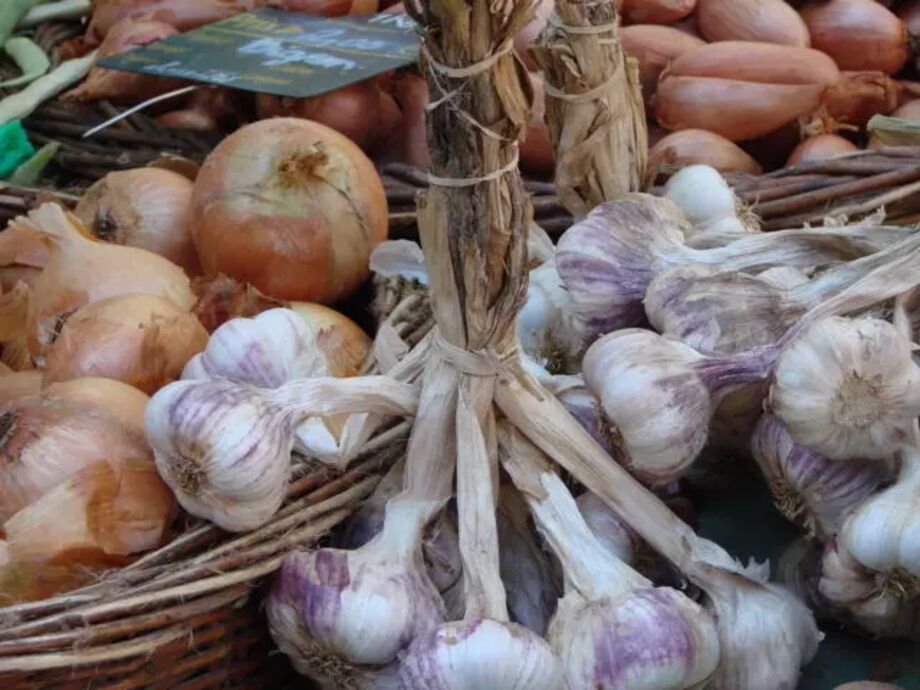 Alla sorters lökar. - Switch - Reseguiden