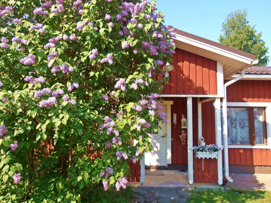 Syrenen blommar - Finland - Dodi - Reseguiden