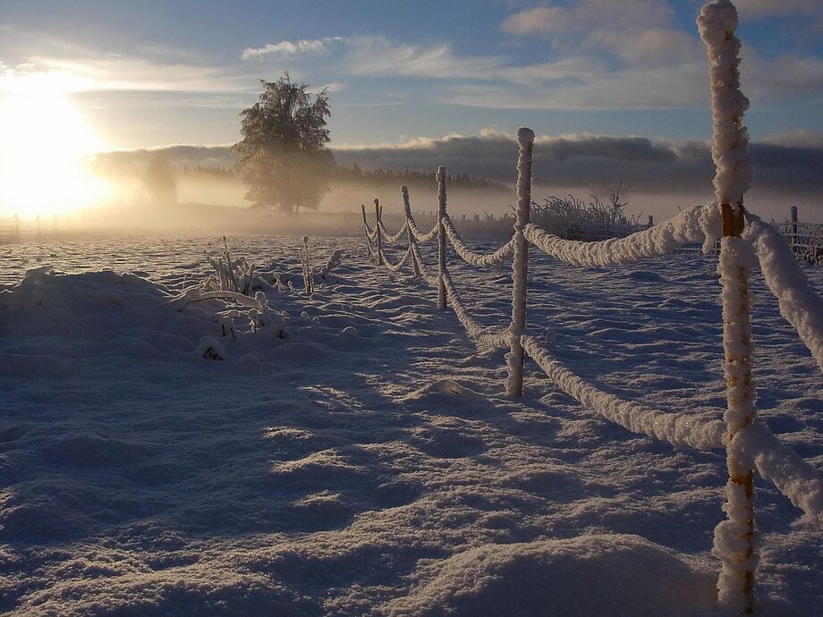Vinterbild - Sverige - Bitra - Reseguiden