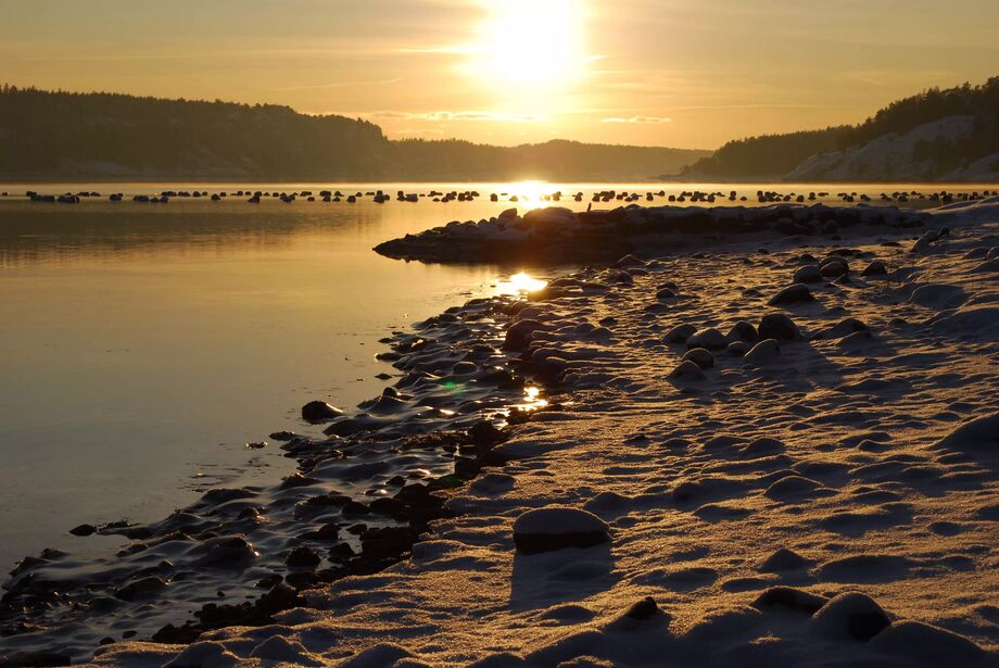 Vacker vinterdag - Sverige - Crista - Reseguiden