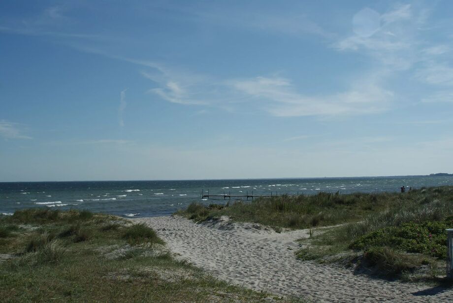 Hundige strand. - Nordsjälland, Danmark - Murreman - Reseguiden