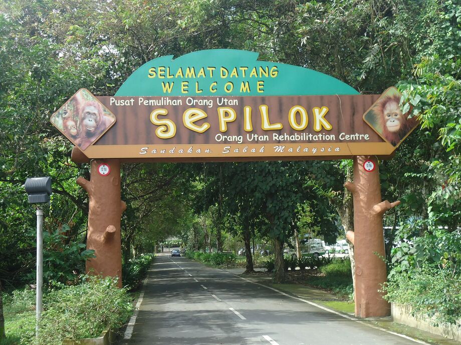 Sepilok Orangutangcenter - Sepilok, Malaysia - Sofiafriborg - Reseguiden