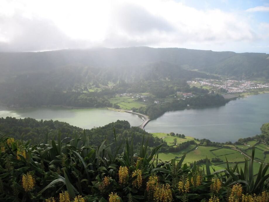 Bild #391311 från Azorerna, Portugal - Trollebo - Reseguiden