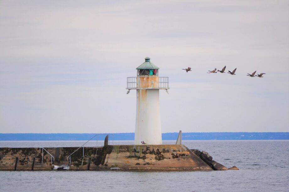 Hjo hamn - Hjo, Sverige - Eje_b - Reseguiden