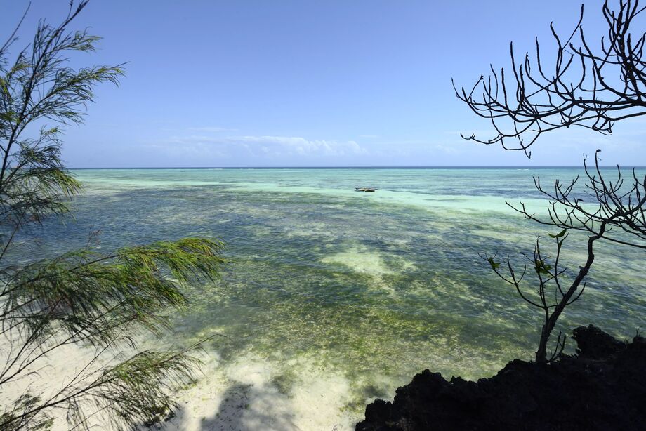 Promised land Lodge - Kizimkazi, Zanzibar, Tanzania - Lovisa1970 ...
