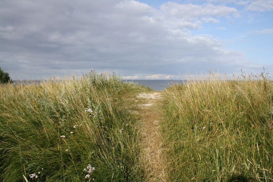 min bästa sommarbild - Öland, Sverige - Anns - Reseguiden